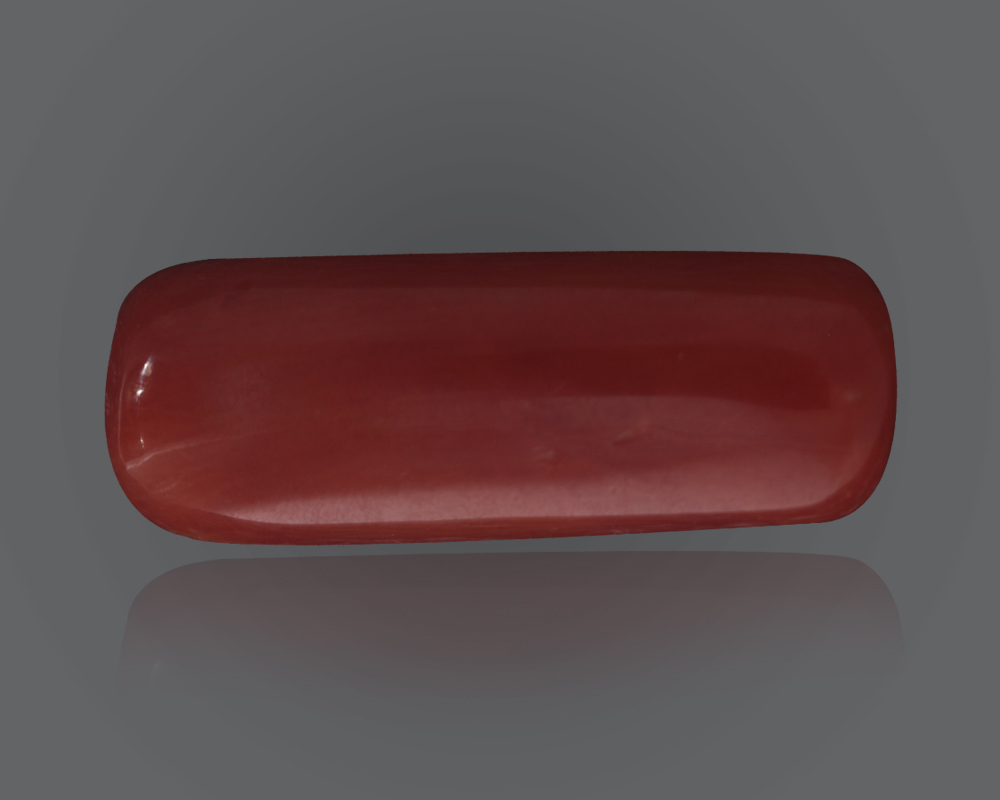 Moonga Stone Price