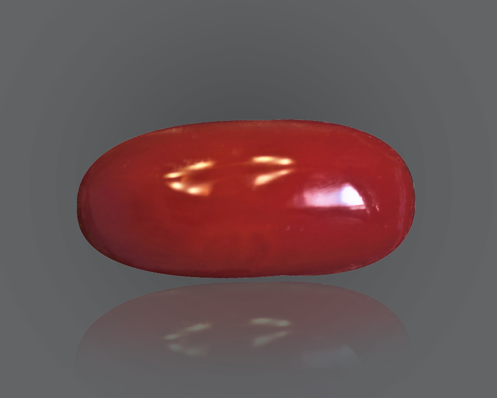 Red Coral Stone Price | moonga Gemstone Online - Ratna Bhandar