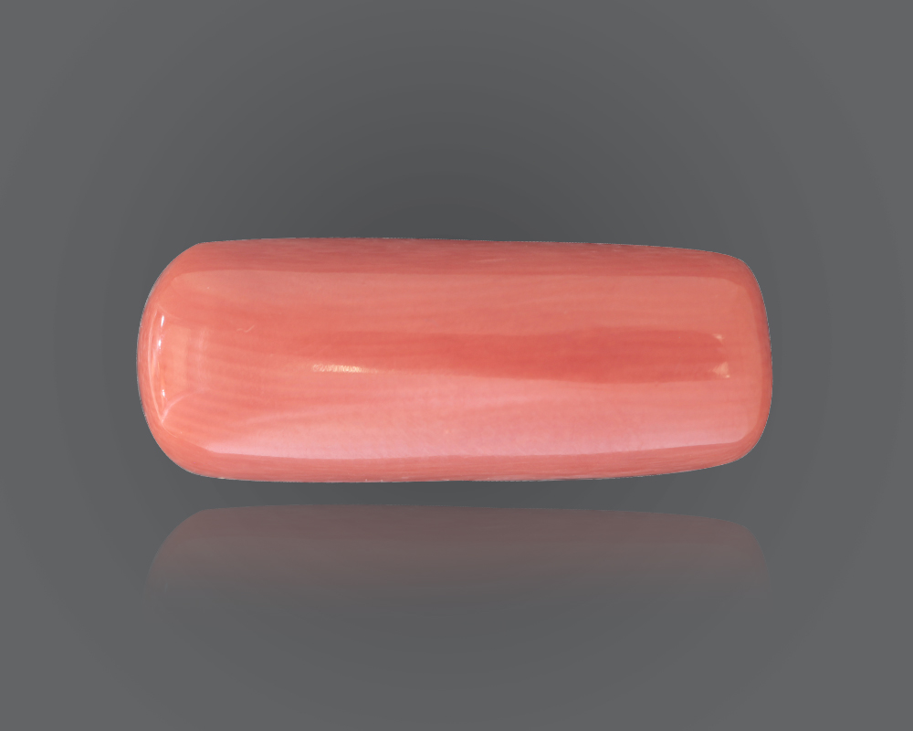 Red Coral Stone Price | moonga Gemstone Online - Ratna Bhandar
